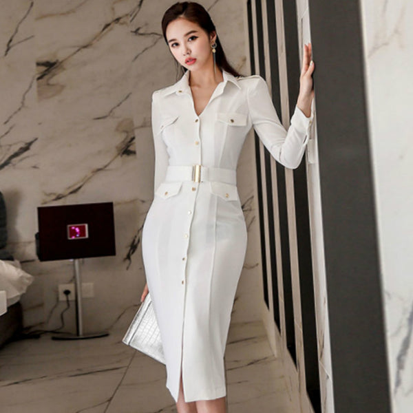 Women's Spring Sheath Belted Dress With Sashes | ZORKET