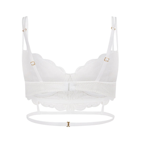 Women's White Lace Bra | Female Push Up Hollow Out Mesh Underwear | ZORKET